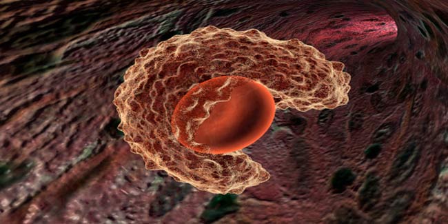 What Are The Causes Of Bone Marrow Cancer Cancer