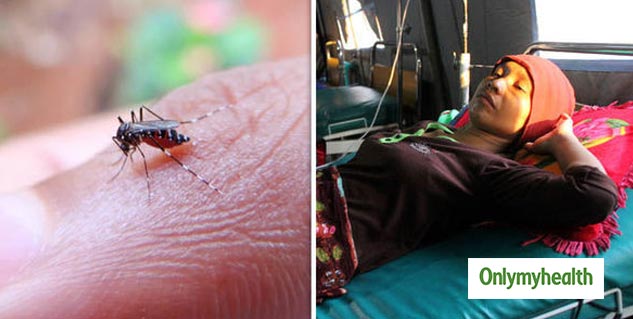 Possible To Eradicate Malaria From India: Says UK Medical Journal ... Possible To Eradicate Malaria From India: Says UK Medical Journal ...