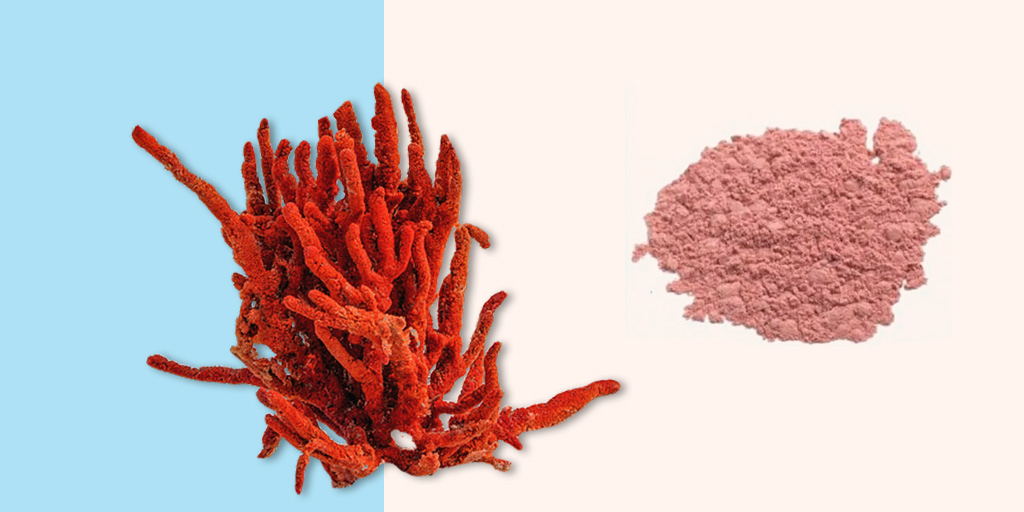 Prawal bhasma Health Benefits and Uses in Hindi | प्रवाल भस्म के फायदे ...