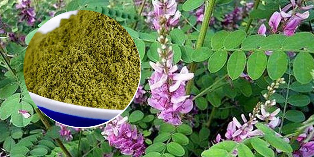 Indigo Powder For Hair Benefits How To Use 