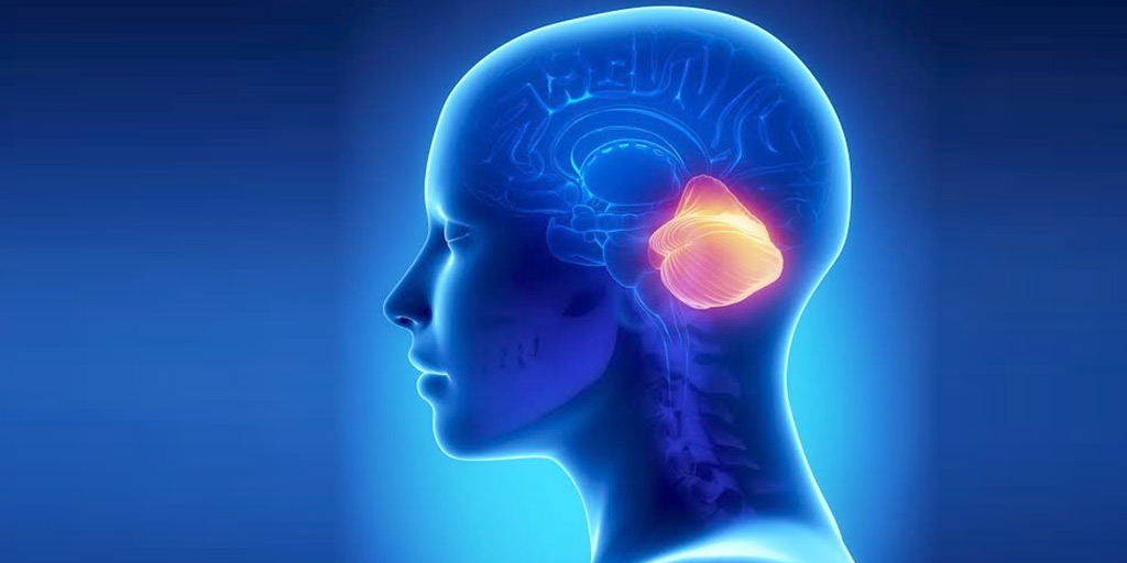 Ataxia: Symptoms, Causes, Diagnosis, Treatment | Onlymyhealth