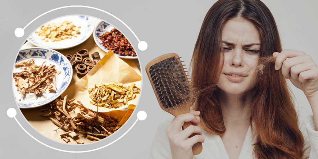 Try These 3 Chinese Herbs To Be Free From Hair Loss | Onlymyhealth