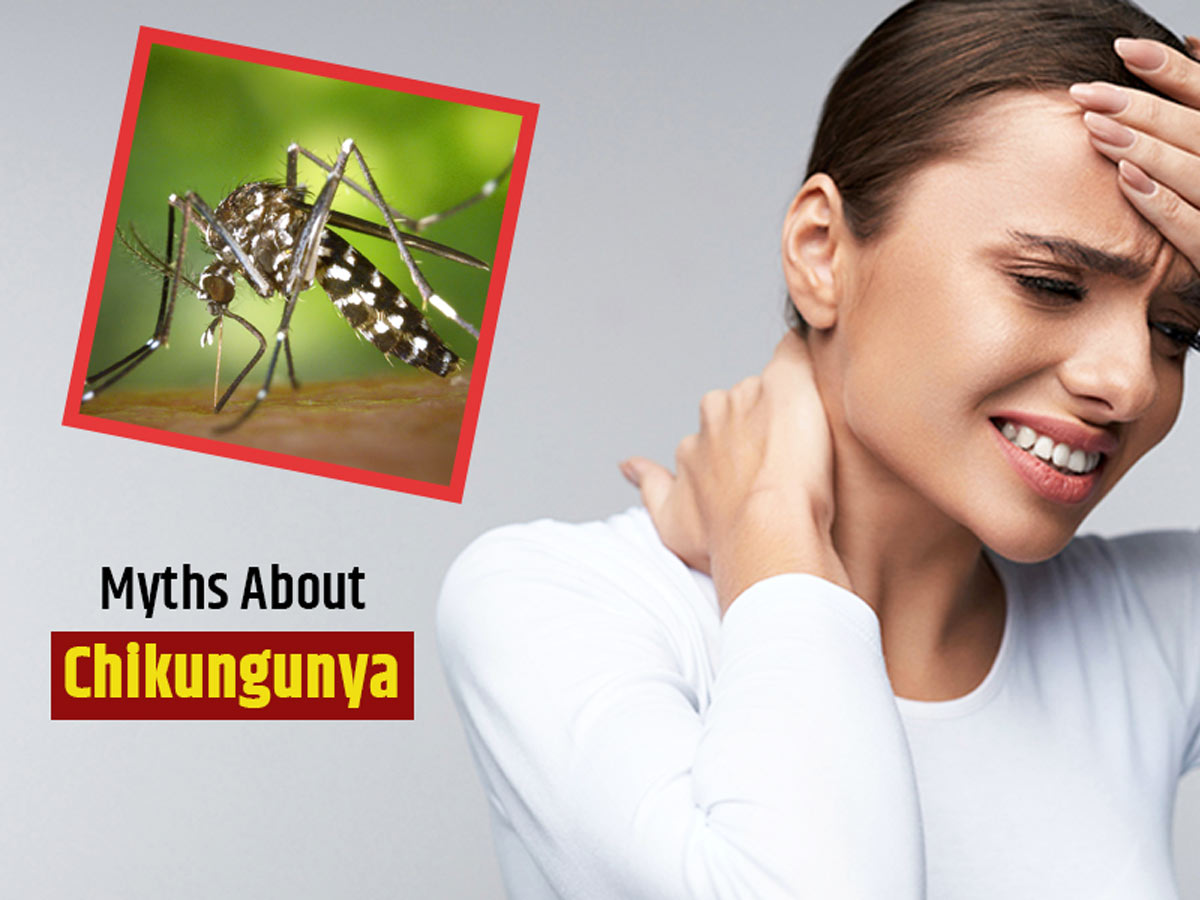 Chikungunya – Symptoms, Causes, Treatment, Prevention, Diagnosis ...