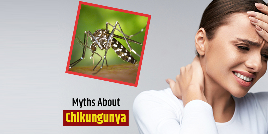 6 Myths About Chikungunya That Will Leave You Surprised | Onlymyhealth