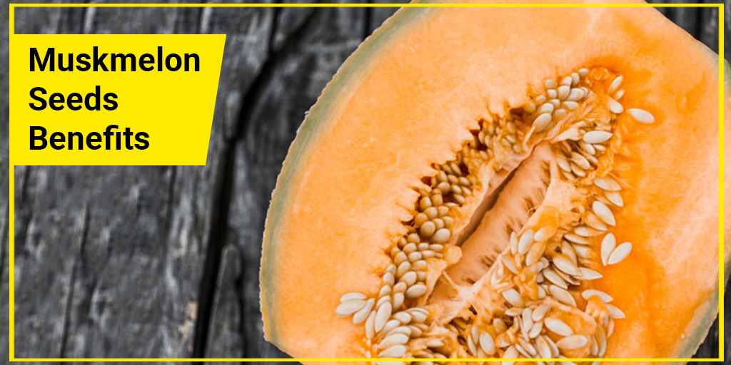 Not Just Muskmelon, Its Seeds Have Health Benefits Too. Know Them Here ...