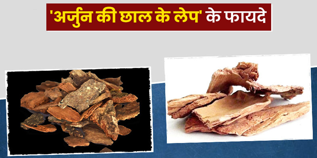 Arjun Ki chaal paste health benefits in hindi। अर्जुन की छाल के लेप के ...