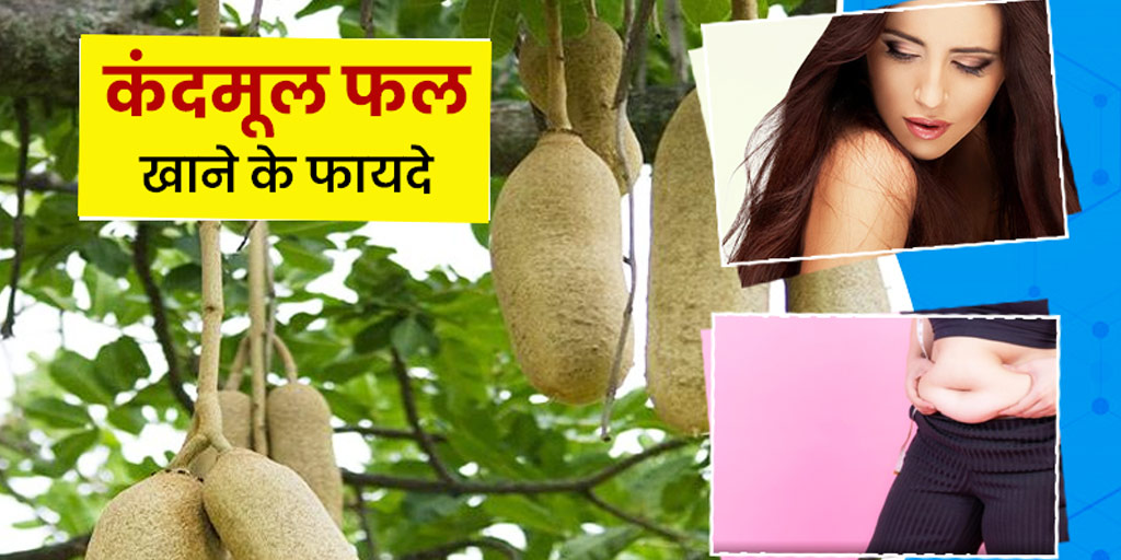 ram kandmool phal benefits in hindi | कंदमूल फल खाने के फायदे ...