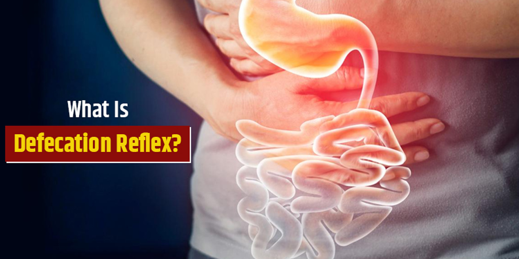 Defecation Reflux| Symptoms Process Triggers - Defecation Reflux: Know ...