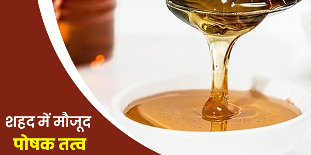 Honey nutrition facts and Benefits in Hindi | इन पोषक तत्वों के कारण ...