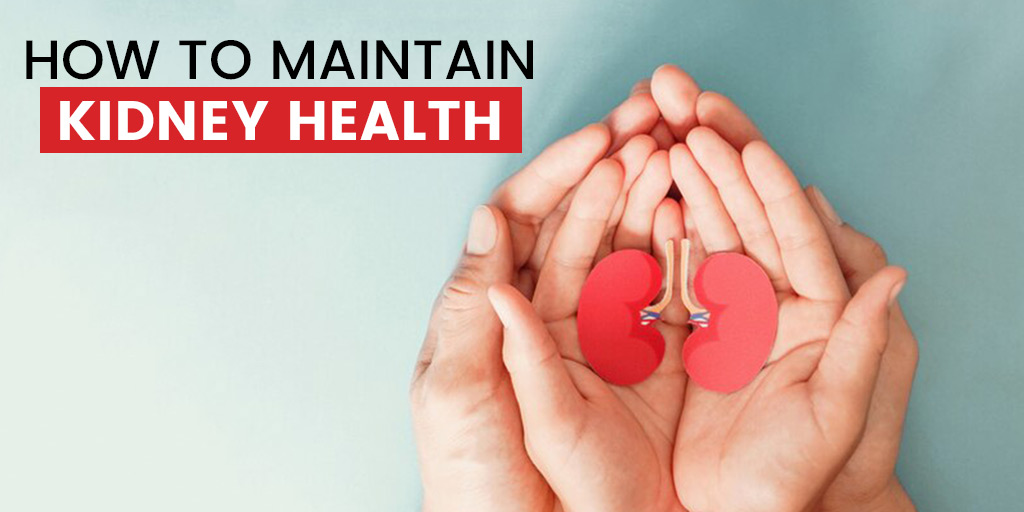 Maintaining Kidney Health: Tips, Diet, How To Improve | Onlymyhealth
