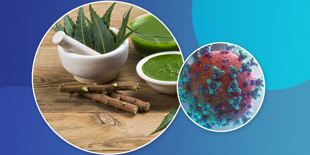 Neem Tree Extract May Prevent Spread, Help To Treat COVID-19: Study ...
