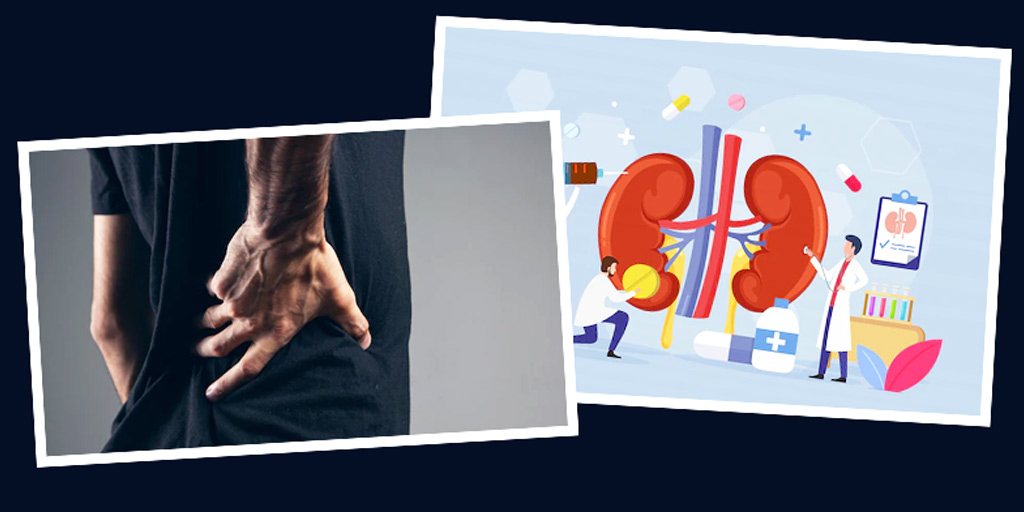 Common Kidney Diseases|Chronic Kidney Disease | Onlymyhealth