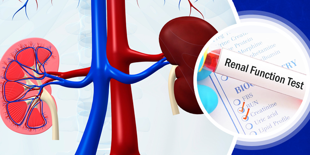 Kidney Function Test| Types Process | Onlymyhealth