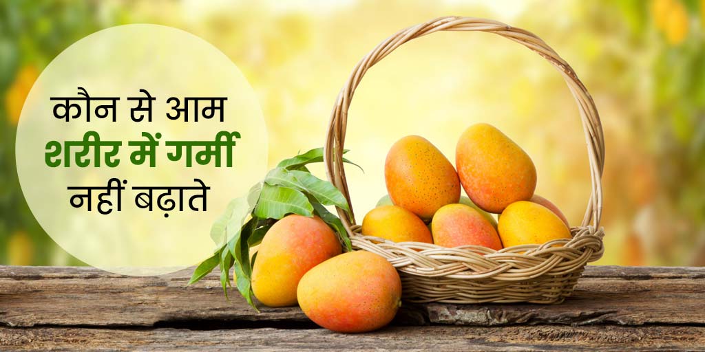आम की तासीर कैसी होती है? क्या सभी आम शरीर में गर्मी बढ़ाते हैं? कैसे ...