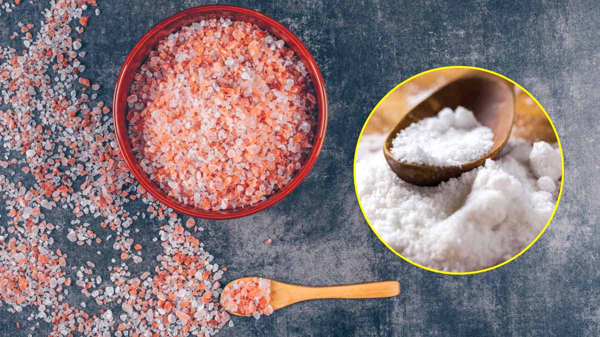 सेंधा नमक या सफेद नमक, जानें कौन है ज्यादा फायदेमंद | Rock Salt vs ...