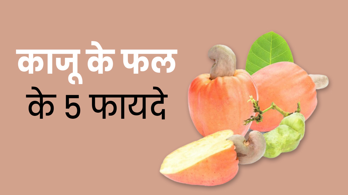 काजू के फल के 5 फायदे | Cashew Fruit Benefits In Hindi | cashew fruit ...