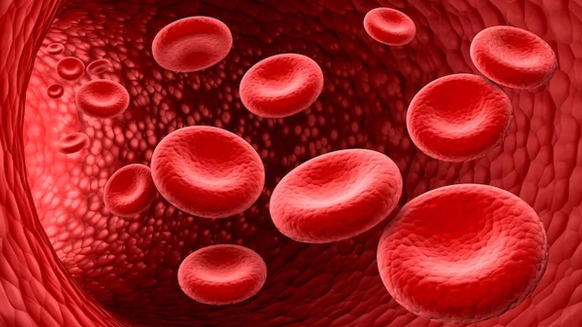 Healthy Foods that Act as Blood Thinners | OnlyMyHealth