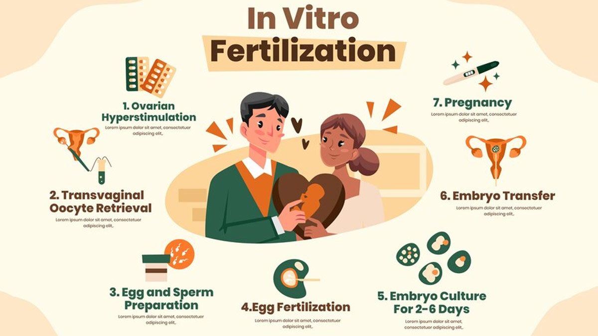 IVF Explained: 5-Step Procedure of IVF | OnlyMyHealth IVF Explained: 5-Step Procedure of IVF | OnlyMyHealth