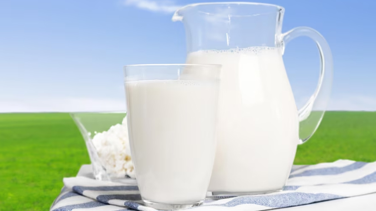 How Is Lactose-Free Milk Different From Regular Milk | OnlyMyHealth How Is Lactose-Free Milk Different From Regular Milk | OnlyMyHealth