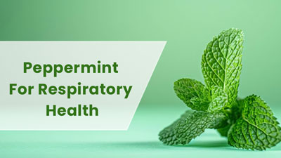 Alternative Therapies for Health and Wellness - Yoga, Aromatherapy ...