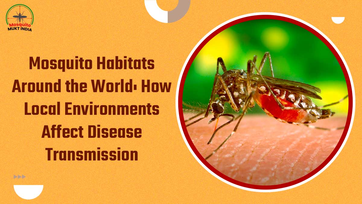 Mosquito Habitats Around the World: How Local Environments Affect ...