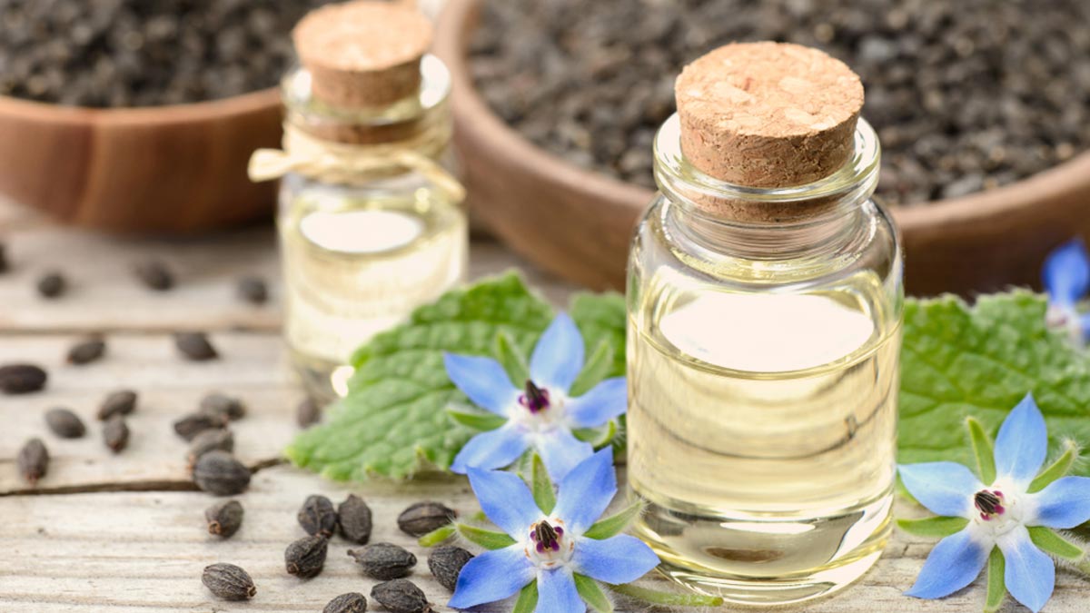 Borage Seed Oil Here s How It Helps In Promoting Skin Health Borage Seed Oil Here s How It Helps In Promoting Skin Health