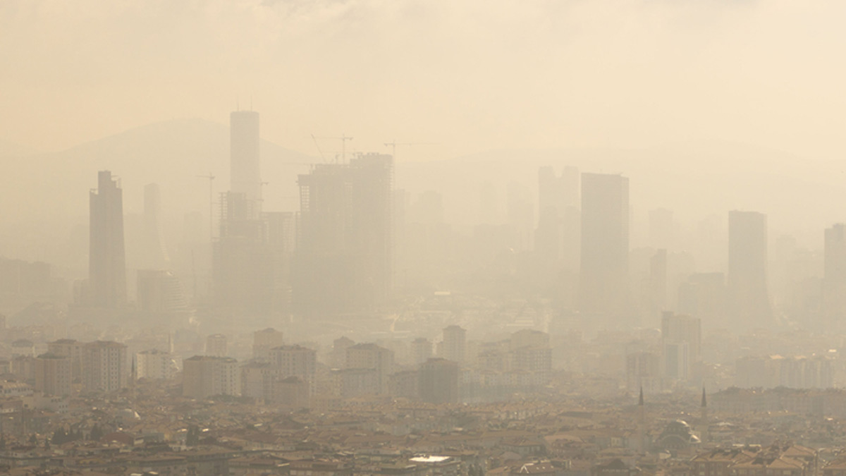 Acidic Air, Weak Bones: Expert Explains How Polluted Cities Are ...