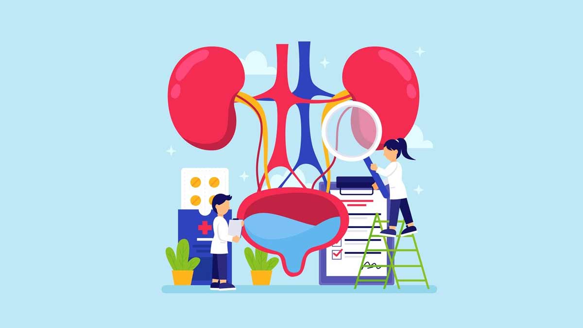 Frequent Urination And Weak Stream? Here's What It Could Mean If You ...