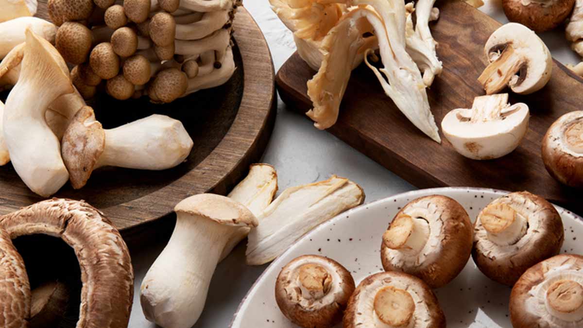 From Heart Health to Cancer Prevention: The Power of Eating 5 Mushrooms ...