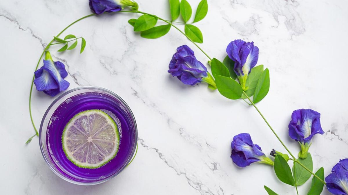 Lorazepam Explained: The Anti-Anxiety Drug Sparking Curiosity After The ...