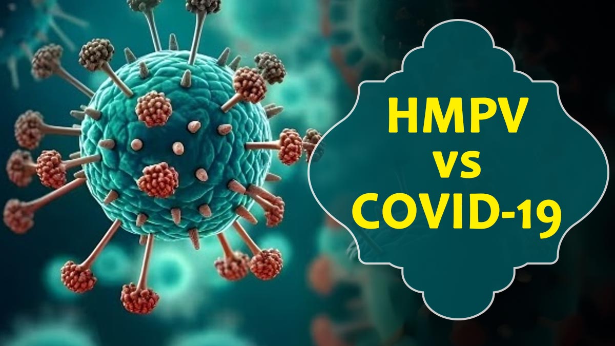 COVID-19 Vs HMPV: Could Human Metapneumovirus Trigger A Pandemic-Like ...
