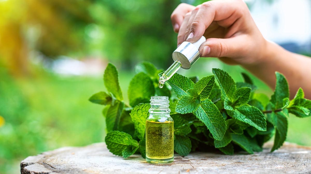 Peppermint Oil For Irritable Bowel Syndrome: Here's How It Helps And ...