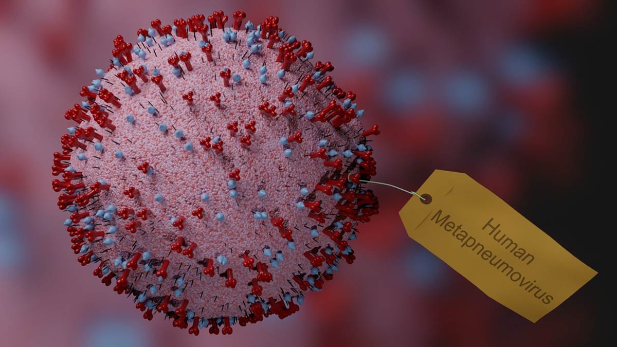 8 Things To Keep In Mind To Mitigate The Spread Of HMPV | OnlyMyHealth