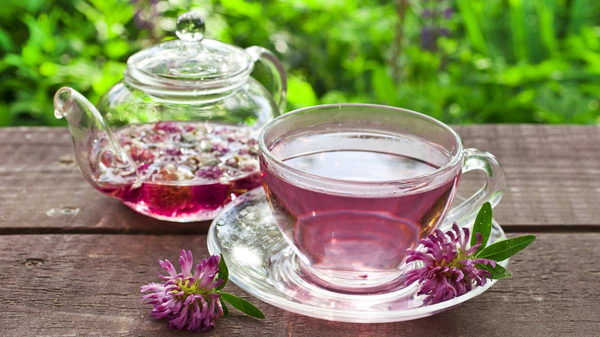 From Menopause To Bone Health: Here Is How Red Clover Can Promote Your ...