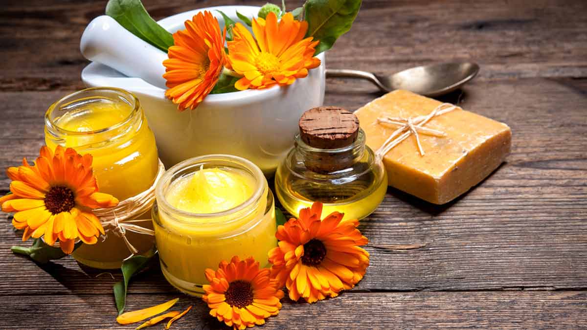How Does Calendula Cream Help In Healing Wounds Faster And Improve Skin ...