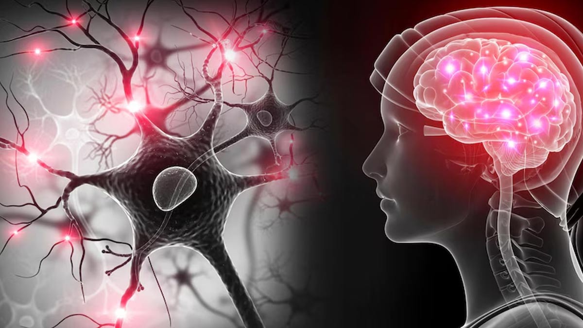 What is Bickerstaff’s Brainstem Encephalitis? Doctor Explains Symptoms ...