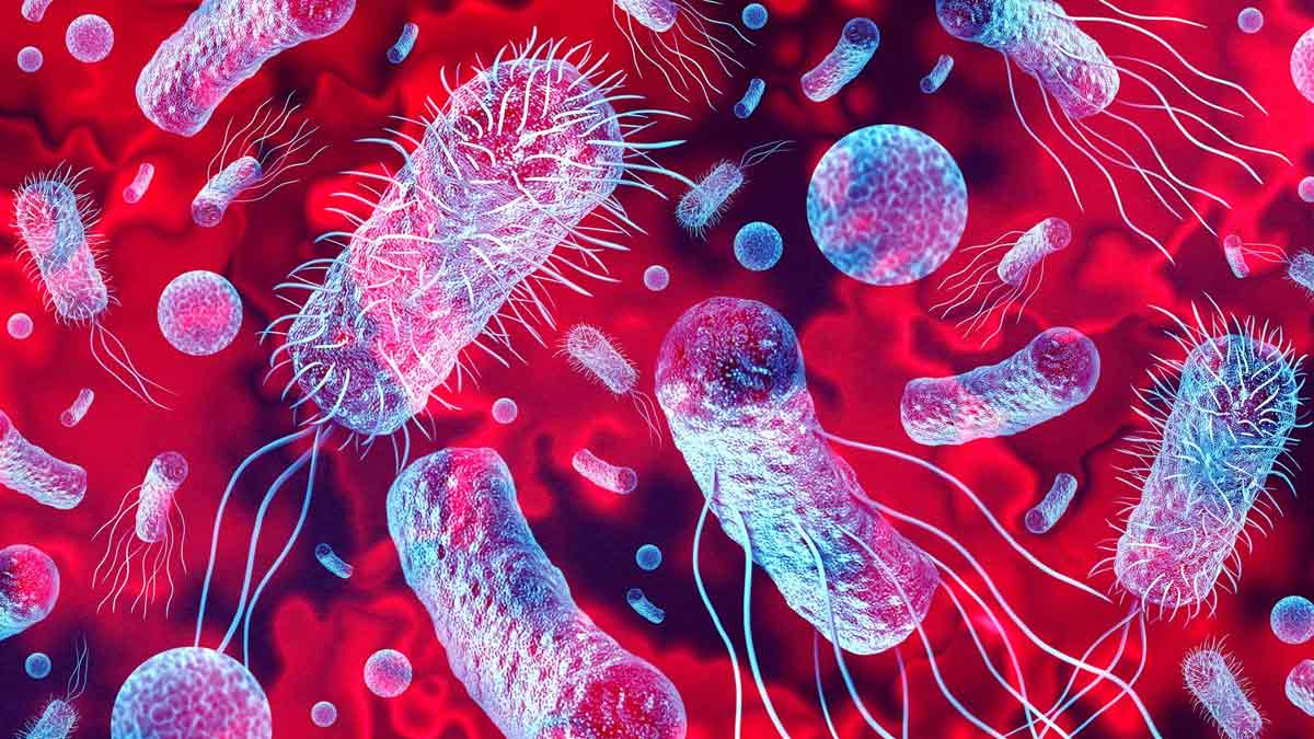 Listeria Outbreak In US Due To Frozen Shakes, Report On Death Toll And ...