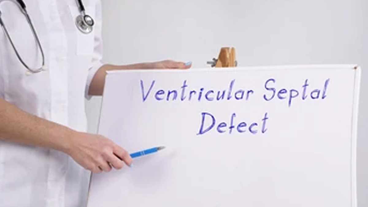 Ventricular Septal Defect In Newborns: What It Is And How To Treat It ...