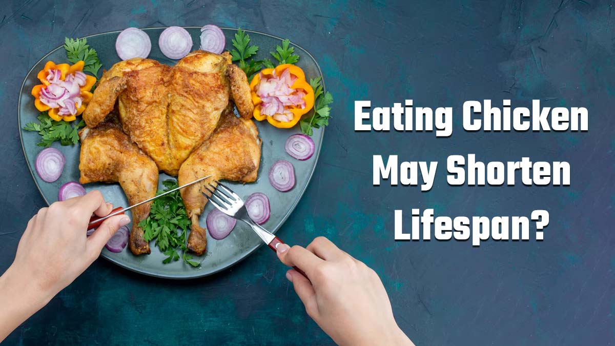 Can Eating Just 4 Servings of Chicken Weekly May Shorten Lifespan? Here ...