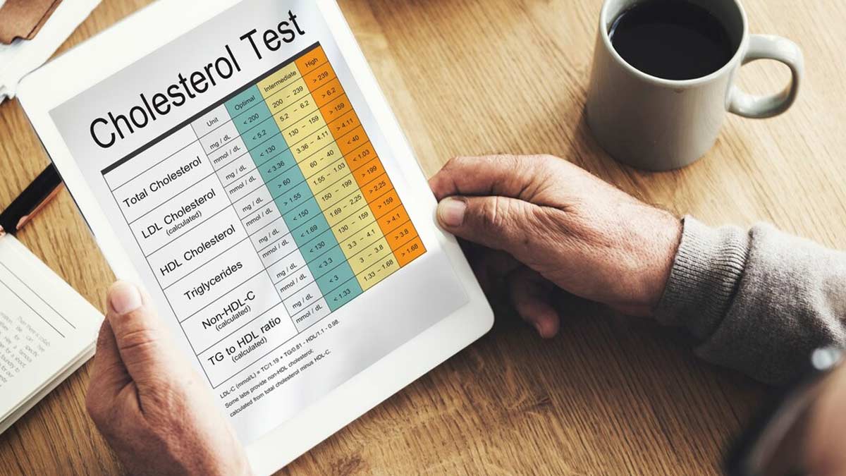 What It Means If Test Reports Read Increased HDL Cholesterol ...