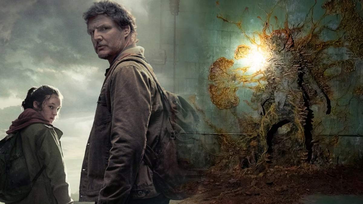 Could the Zombie Fungus from ‘The Last of Us’ Infect People in the Real ...