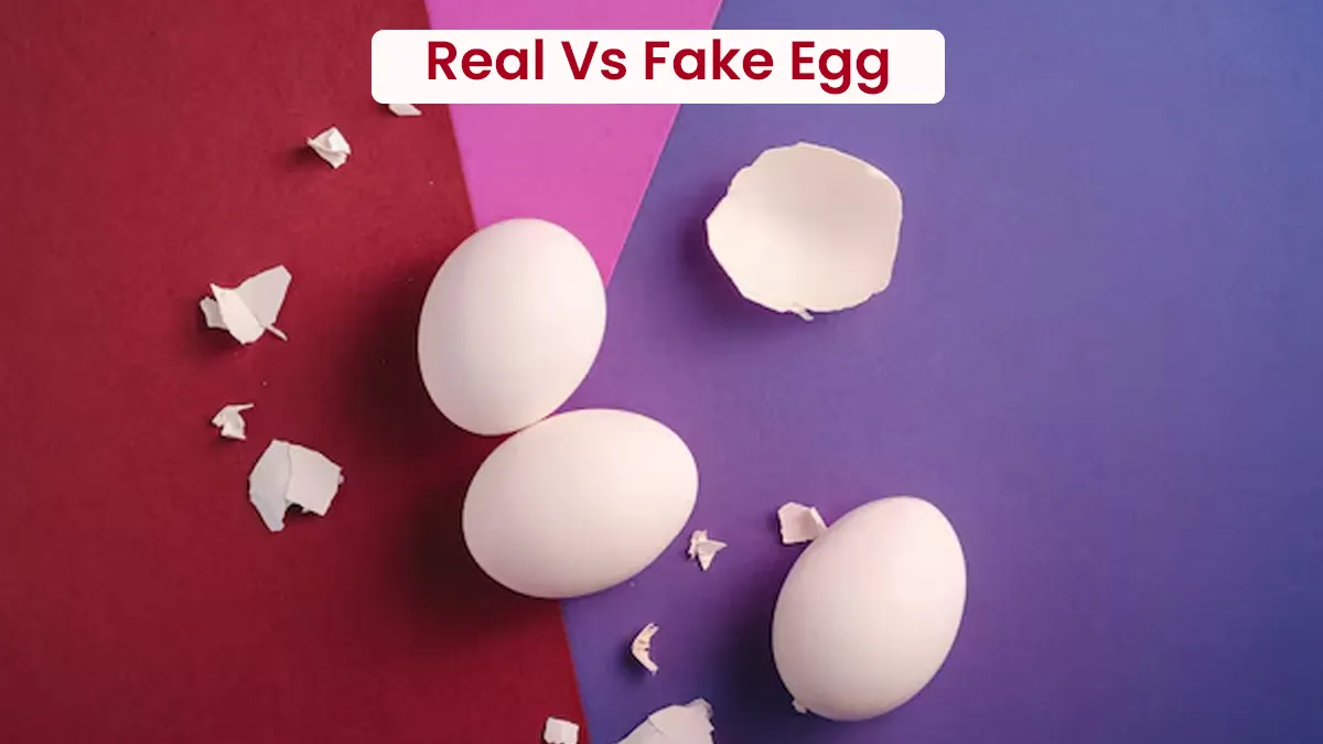 Real Egg vs Fake Egg: How To Identify Plastic Eggs Without Breaking ...