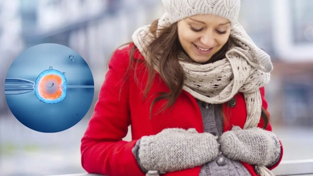 Winter vs Summer for IVF? Is There Any Difference in the Process or ...