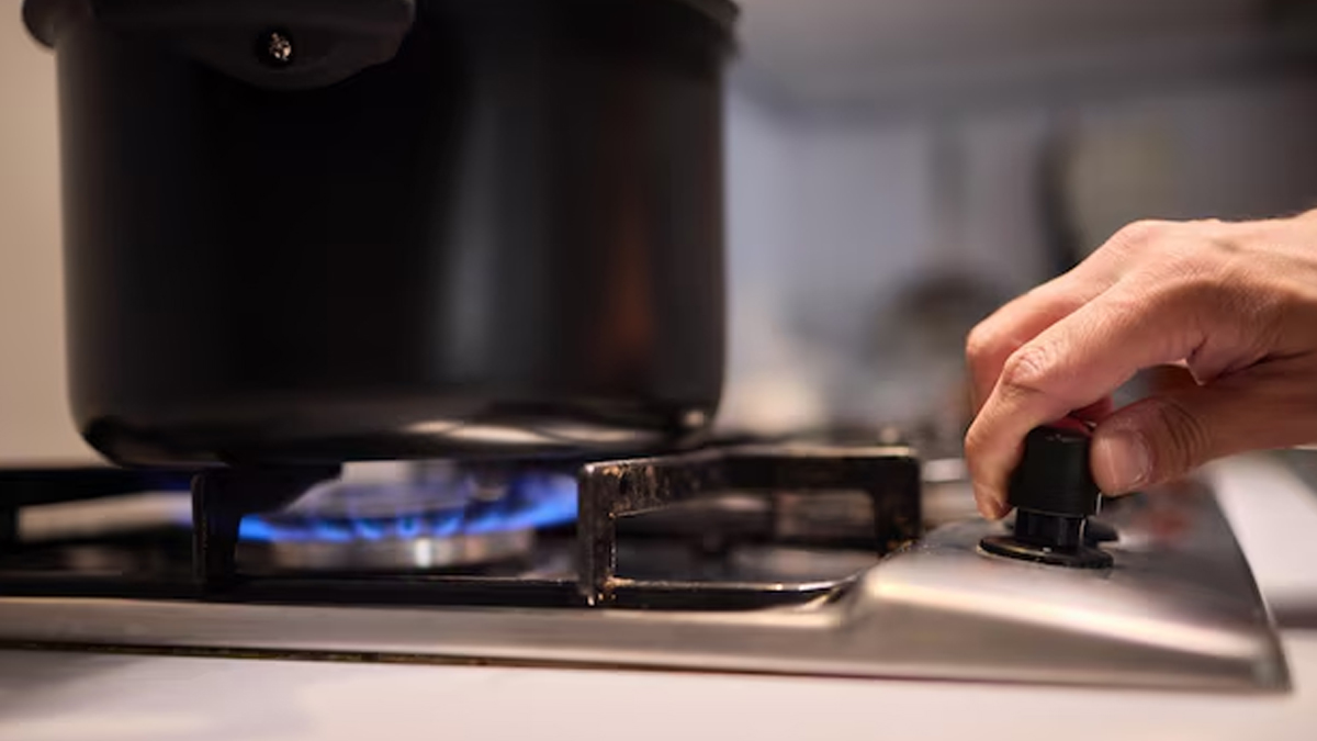 Do Gas Stoves Pollute Indoor Air? Expert Shares Impact On Health ...