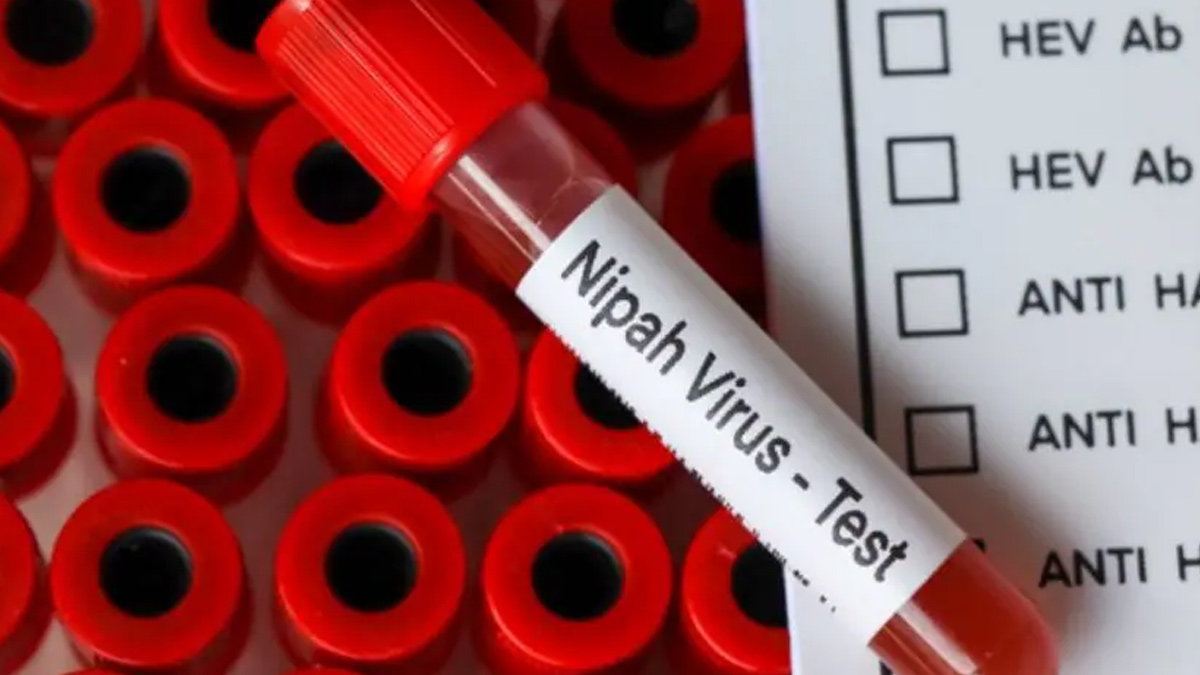 Nipah Virus Alert in West Bengal: How is Nipah transmitted and what are ...