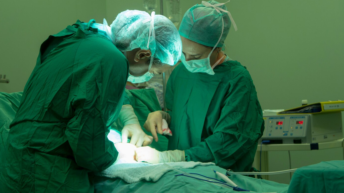 Gallbladder Surgery During Pregnancy: What are the Risks for Mum and ...