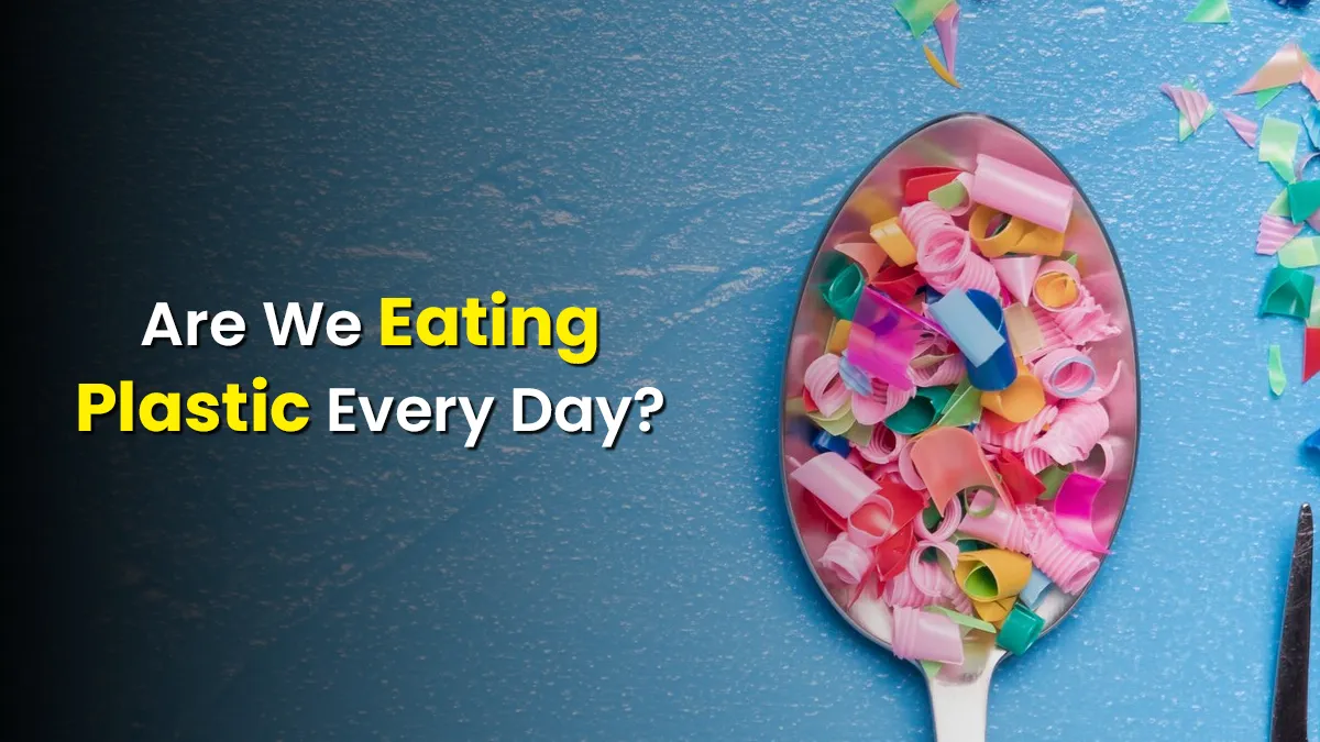 Are We Eating Plastic Every Day? Shocking Facts About Microplastics in ...