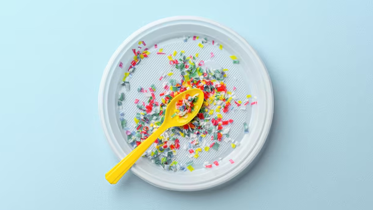Are We Eating Plastic Every Day? Shocking Facts About Microplastics in ...