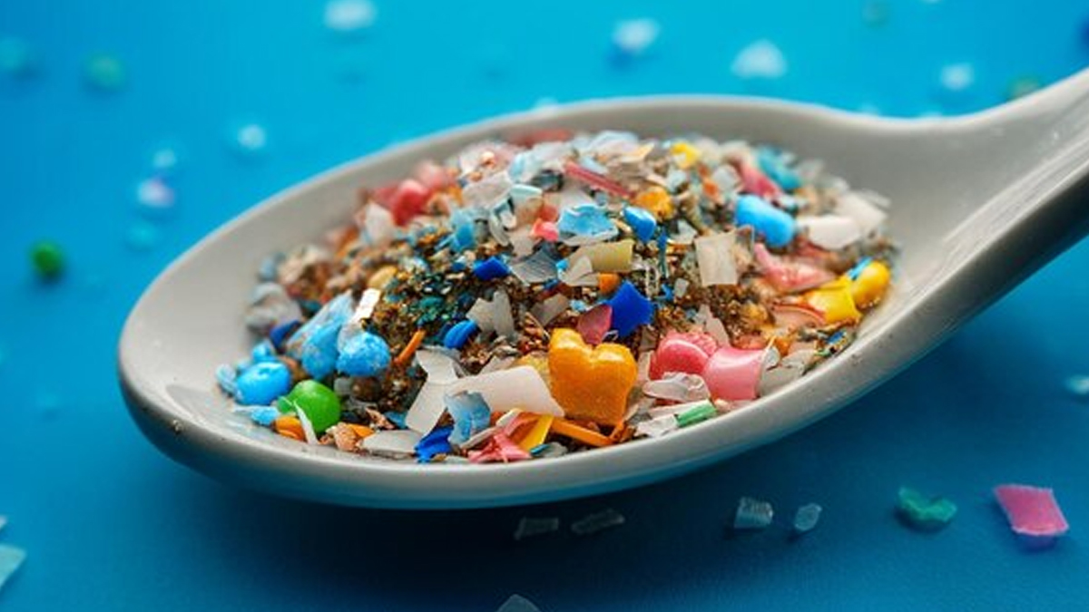 Are We Eating Plastic Every Day? Shocking Facts About Microplastics in ...