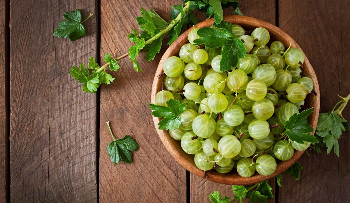 Can Amla Oil Promote Hair Growth? Expert Shares Its Benefits | OnlyMyHealth